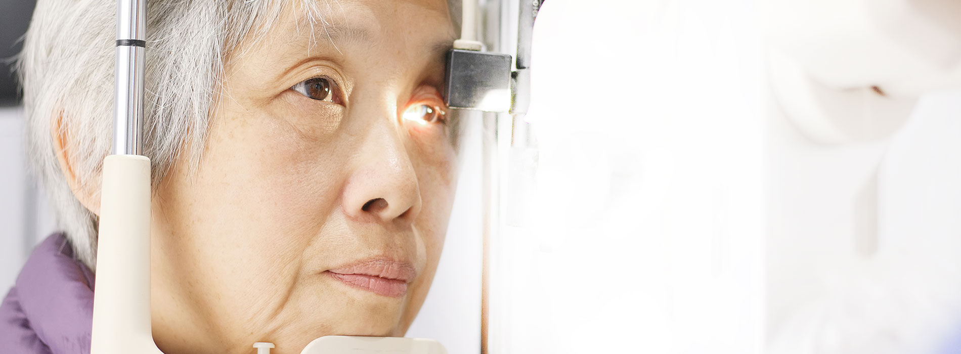 Best Ophthalmologist Near Me in Los Angeles, CA | The Retina Partners